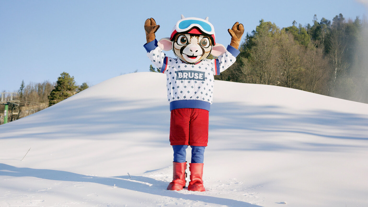 Meet Bruse at Vierli - Rauland Skisenter